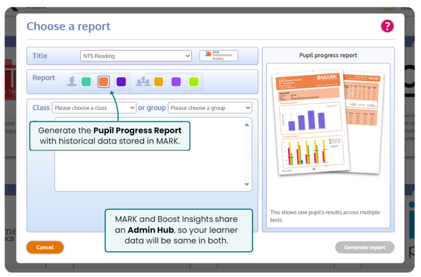 Progress Reporting in Autumn Term 2024