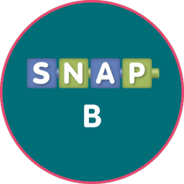 SNAP Behaviour | Online Diagnostic Assessment For SEBDs | Hachette Learning