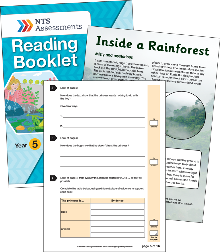 2025 KS2 Reading Test Paper and Implications for Teaching | Hachette ...
